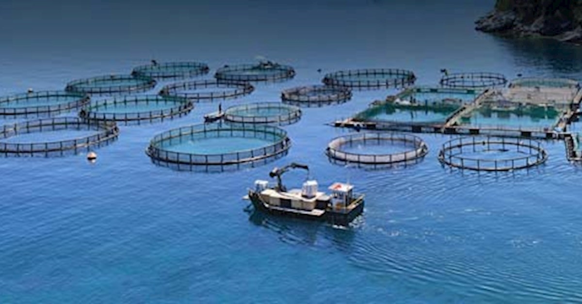 Model testing of fish farms